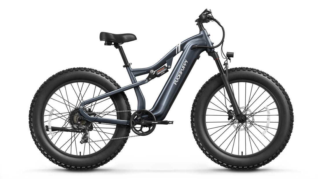 Electric Bikes